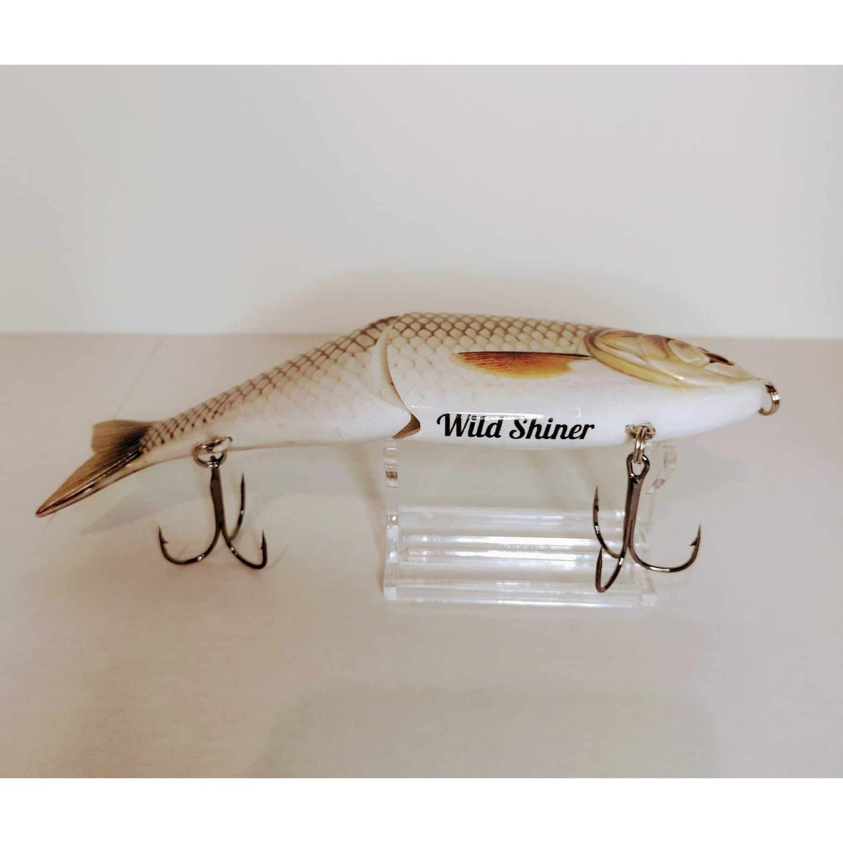 Wild Shiner – Spinallis