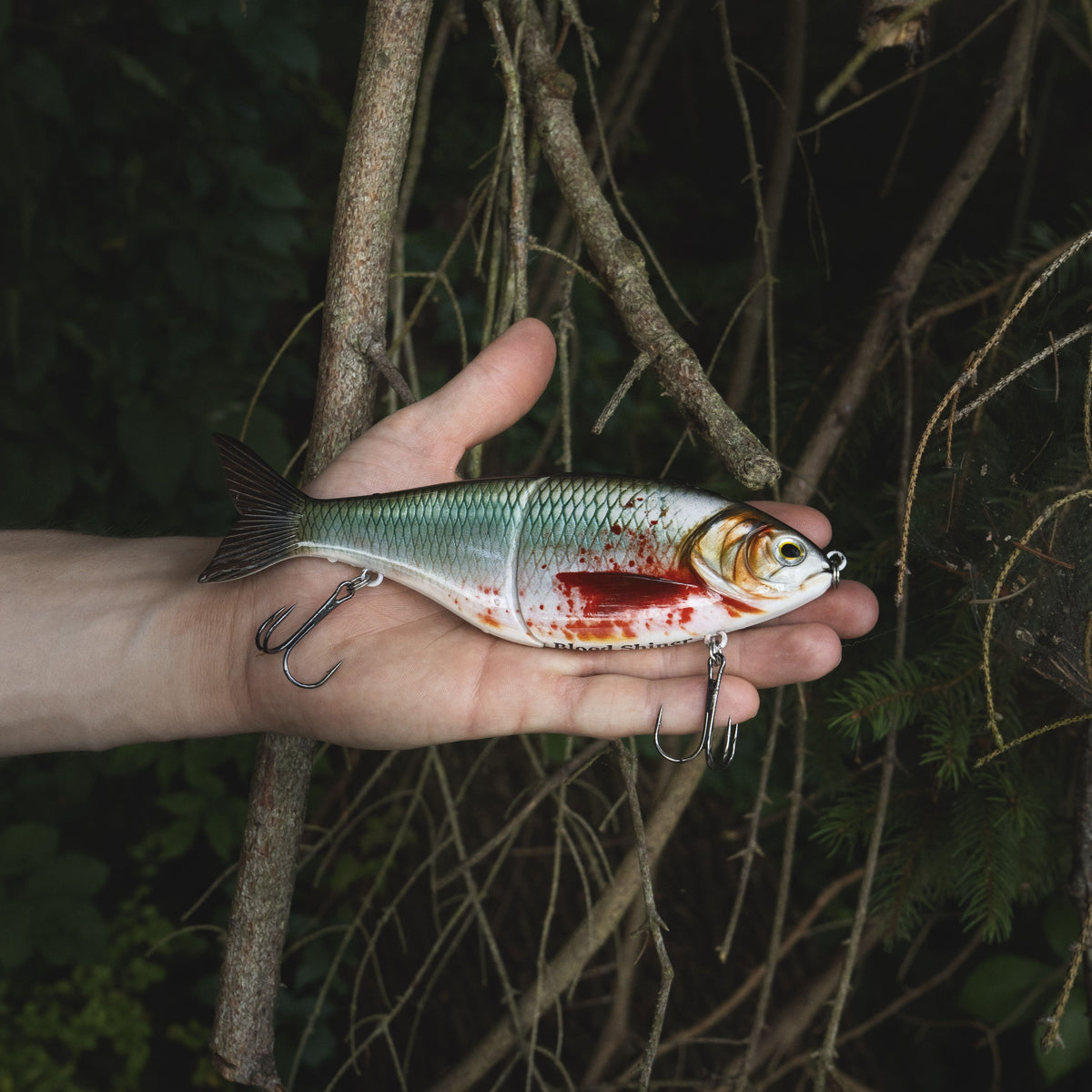 Blood Shiner Glide Bait - Exclusive 7" Bass Fishing Lure | Spinallis
