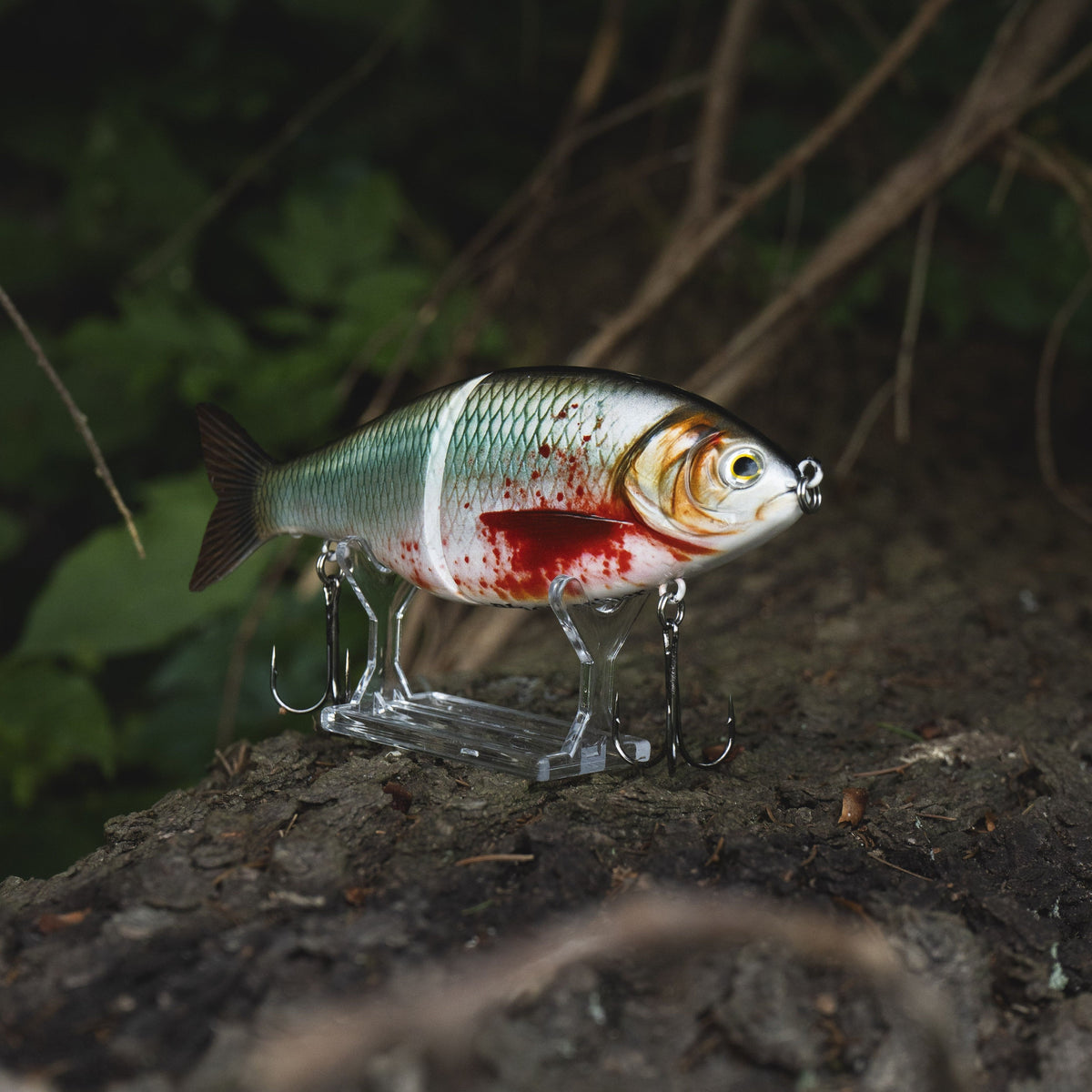 Blood Shiner Glide Bait - Exclusive 7" Bass Fishing Lure | Spinallis